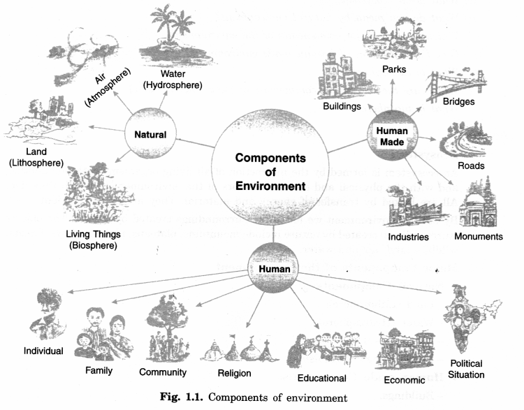 Environment Question Answer Class 7 Social Science Geography Chapter 1 Ncert Solutions