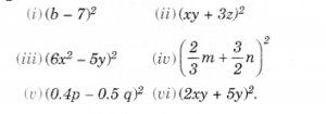 NCERT Solutions for Class 8 Maths Chapter 9 Algebraic Expressions and Identities Ex 9.5