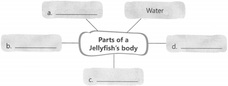Unseen Passage for Class 5 CBSE With Answers
