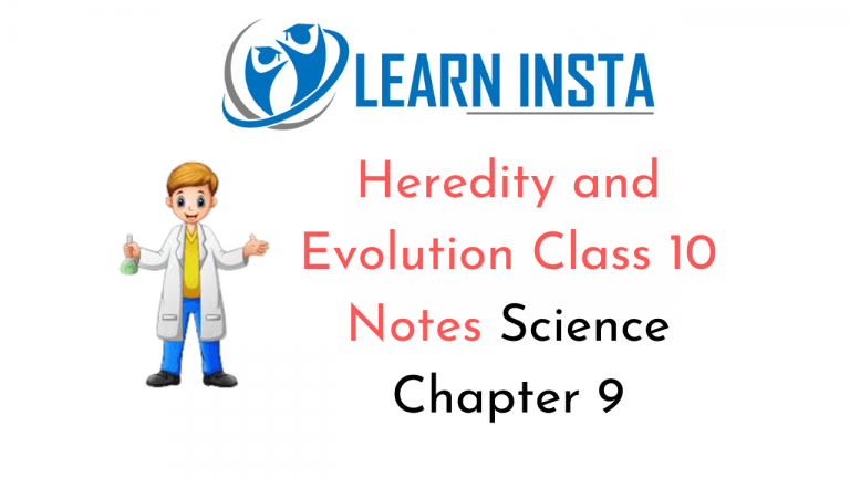 Heredity And Evolution Class 10 Notes Science Chapter 9
