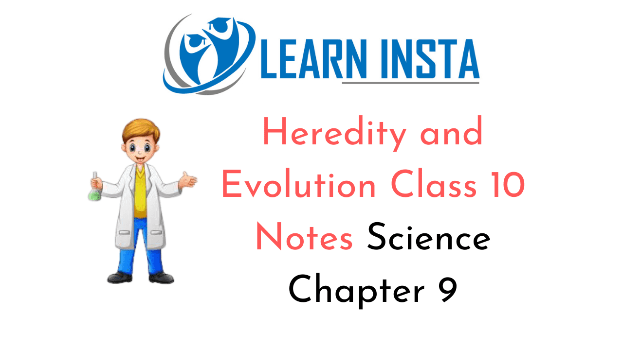 Heredity And Evolution Class 10 Notes Science Chapter 9