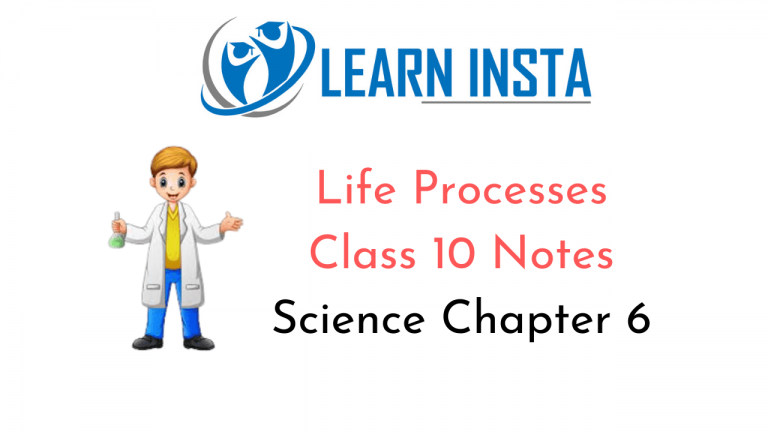 Life Processes Class 10 Notes Science Chapter 6