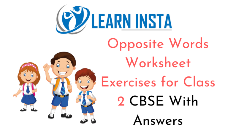 Opposite Words Worksheet Exercises for Class 2 Examples with Answers CBSE