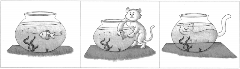 Picture Story Writing Format Class 3 Examples, Questions