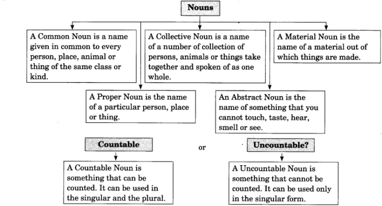 Noun Exercises for Class 8 CBSE With Answers