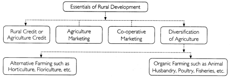 Rural Development Class 12 Important Extra Questions Economics Chapter 6