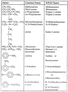 Amines Class 12 Notes Chemistry Chapter 13