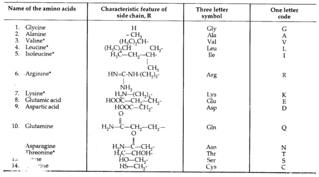Biomolecules Class 12 Notes Chemistry Chapter 14