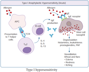 Hypersensitivity Types and its Classification