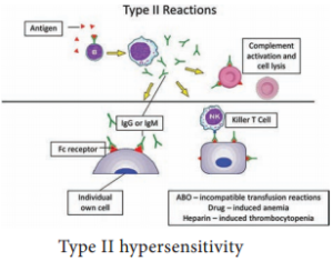 Hypersensitivity Types and its Classification