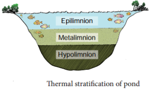 Ecological Factors | Climatic Factors | Edaphic Factors | Topographic ...