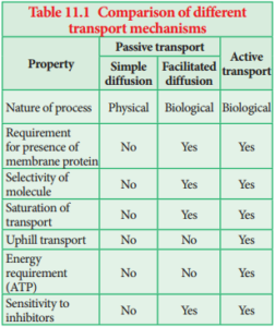 Cell to Cell Transport Significance and its Types
