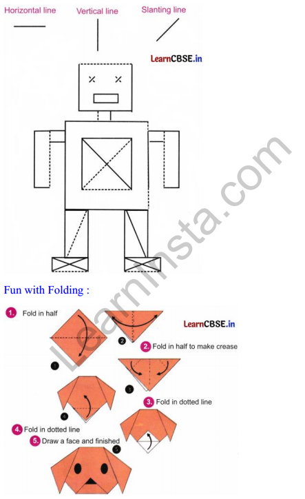 Playing with Lines Class 2 Worksheet with Answers Maths Chapter 5
