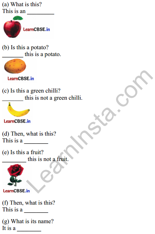 Fun with Pictures Class 1 Worksheet with Answers English Chapter 6