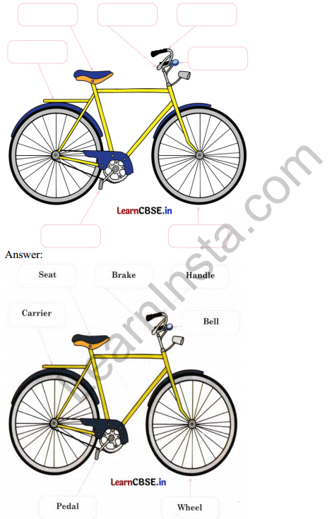 My Bicycle Class 2 Question Answer English Chapter 1