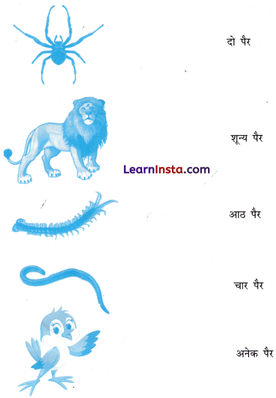 कितने पैर Class 3 Worksheet with Answers Hindi Chapter 3