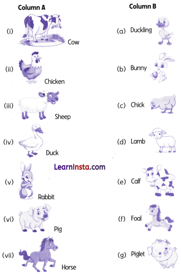 Colours Class 3 Worksheet with Answers English Chapter 1