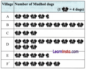 Data Handling and Presentation Class 6 Solutions Question Answer