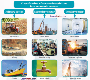 Economic Activities Around Us Class 6 Questions and Answers