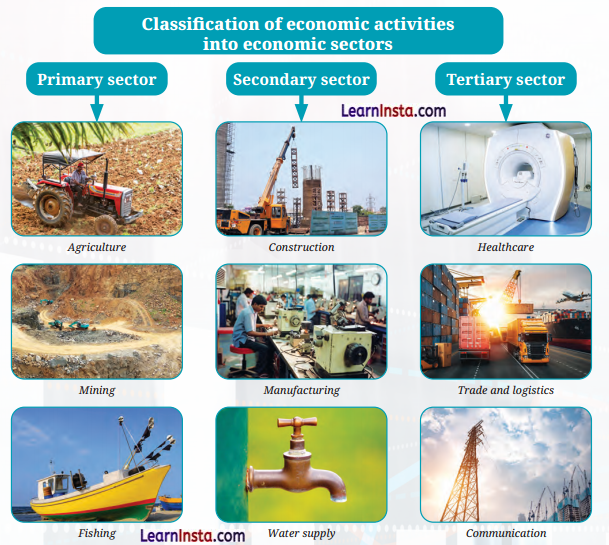 Economic Activities Around Us Class 6 Questions and Answers