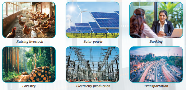 Economic Activities Around Us Class 6 Questions and Answers