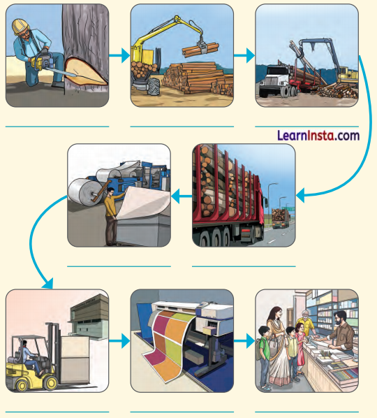 Economic Activities Around Us Class 6 Questions and Answers