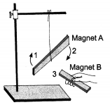 Exploring Magnets Class 6 Extra Questions and Answers Science Chapter 4