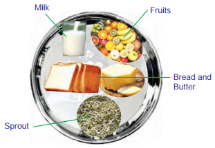 Food We Eat Class 3 EVS Question Answer