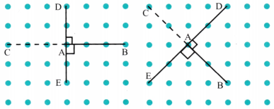 Class 6 Maths Chapter 2 Lines and Angles Solutions - ncert books
