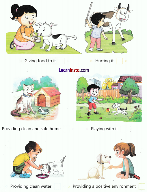 Living in Harmony Class 3 Worksheet with Answers EVS Chapter 6