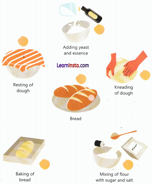 Making Things Class 3 Worksheet with Answers EVS Chapter 11