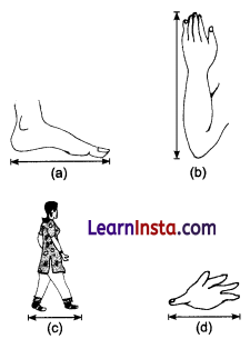Measurement of Length and Motion Class 6 Extra Questions and Answers ...