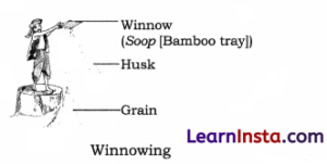 Methods of Separation in Everyday Life Class 6 Notes Science Chapter 9