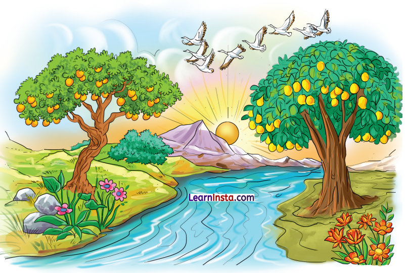 NCERT Class 3 Hindi Veena Chapter 1 Question Answer सीखो