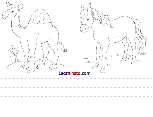 NCERT Class 3 Hindi Veena Chapter 11 Question Answer एक जादुई पिटारा