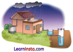 Nature’s Treasures Class 6 Extra Questions and Answers Science Chapter 11