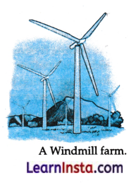 Nature’s Treasures Class 6 Notes Science Chapter 11