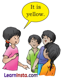 Night Class 3 Question Answer NCERT Solutions Class 3 English Chapter 10