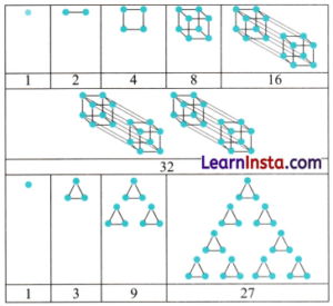 Patterns in Mathematics Class 6 Solutions Question Answer