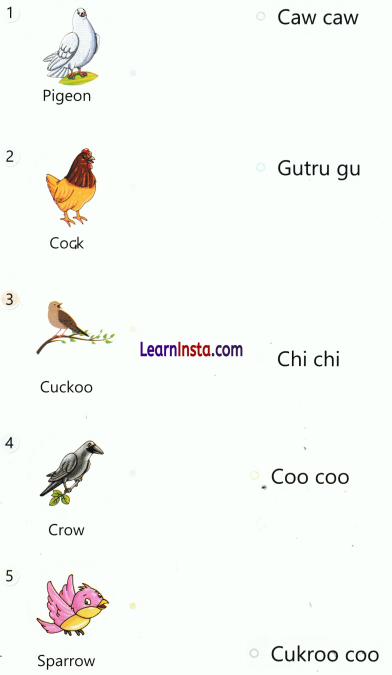 Plants and Animals Live Together Class 3 Worksheet with Answers EVS ...