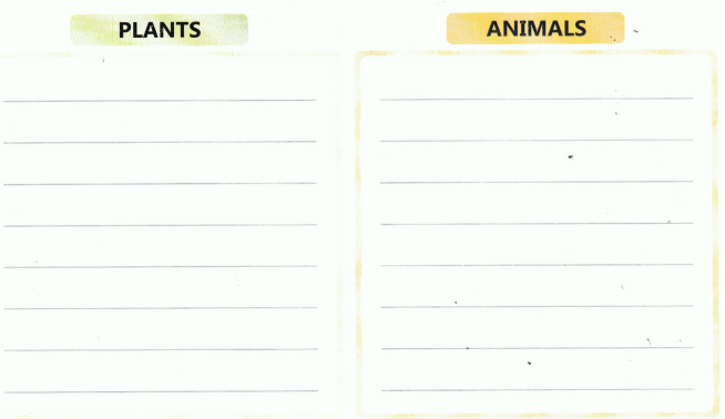 Plants and Animals Live Together Class 3 Worksheet with Answers EVS ...