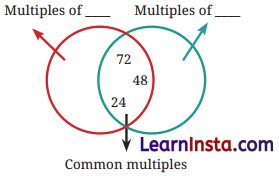 Prime Time Class 6 Solutions Question Answer