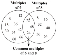 Prime Time Class 6 Solutions Question Answer