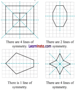 Symmetry Class 6 Solutions Question Answer