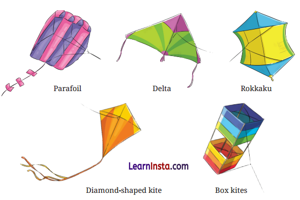 The Kites Class 6 Question Answer NCERT Solutions