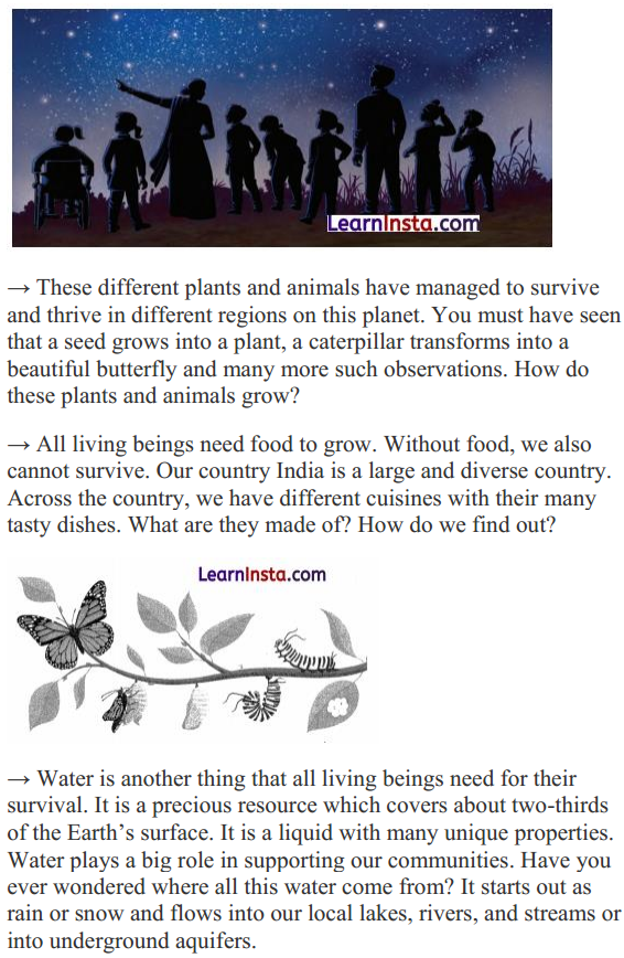 The Wonderful World of Science Class 6 Notes Science Chapter 1