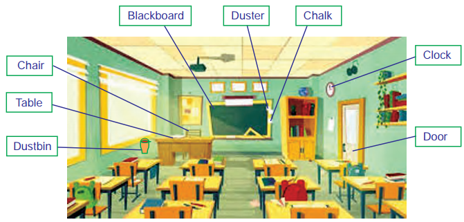 This World of Things Class 3 EVS Question Answer