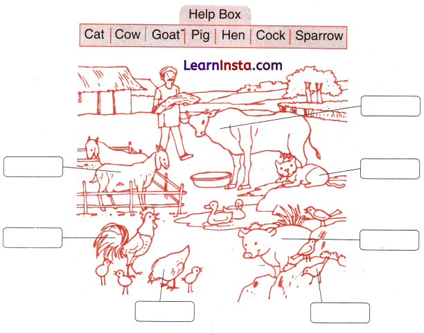 A Farm Class 1 Worksheet with Answers English Chapter 5