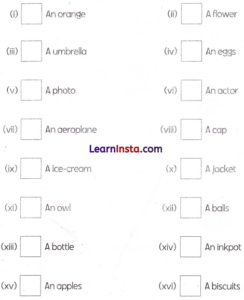 Class 1 English Grammar Worksheet with Answers