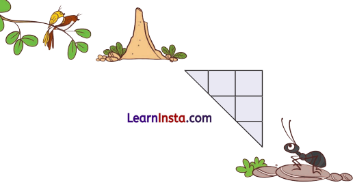 Data Handling Class 2 Solutions Question Answer Maths Chapter 11